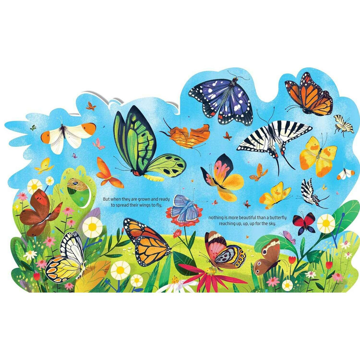 Beautiful Butterflies Board Book – Bellies In Bloom