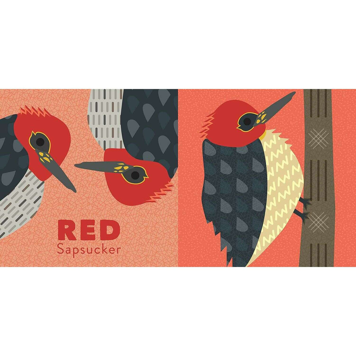 Colors of the Pacific Northwest Board Book – Bellies In Bloom